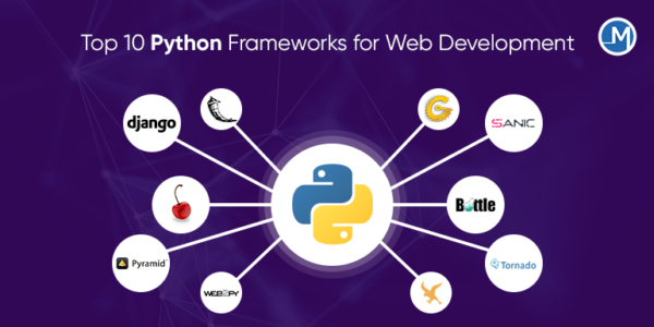 Formation en programmation avec Python au Cameroun - Localhost
